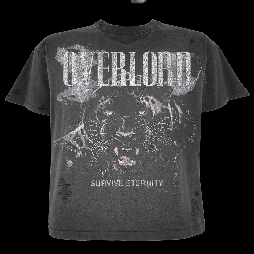 Premade Design Vault | Ready-to-Print Graphic Kits for Streetwear ...